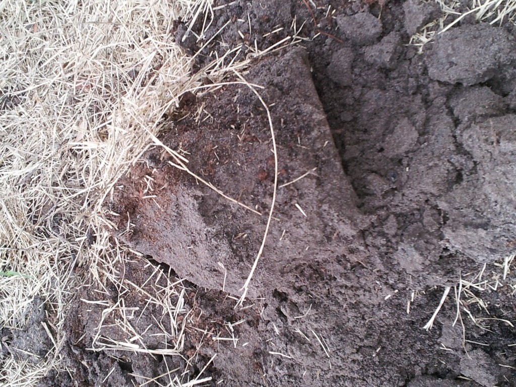 Improve Clay Soil Effectively with ClayMend - HumicGreen, LLC